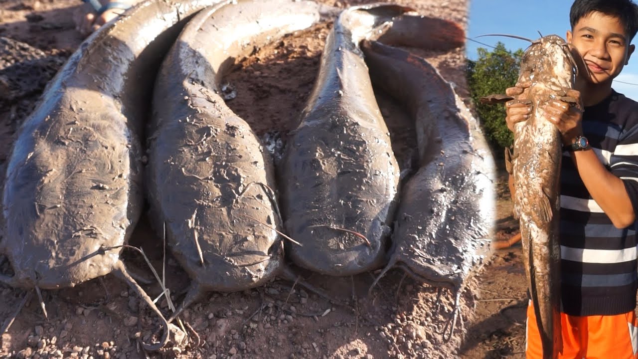 Finally we can catch big fish | Growing them more than two years - YouTube