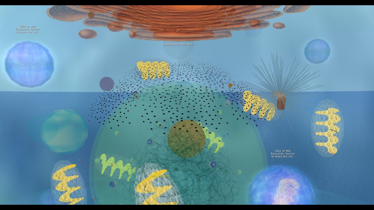 Genome Island In Second Life V2 - YouTube