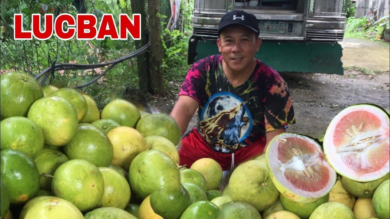 MAGANDANG SUHA (LUCBAN) PULANG-PULA ANG LAMAN | Biyaherong Batangueno ...
