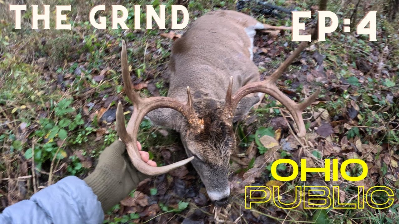 3 Day scouting turns into 2 HOUR HUNT Ohio PUBLIC LAND BOW HUNT - YouTube