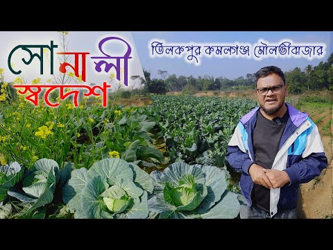 Amazing Farm in Bangladesh Village | Sunali Sodesh Ep 08 | সোনালী স্বদেশ