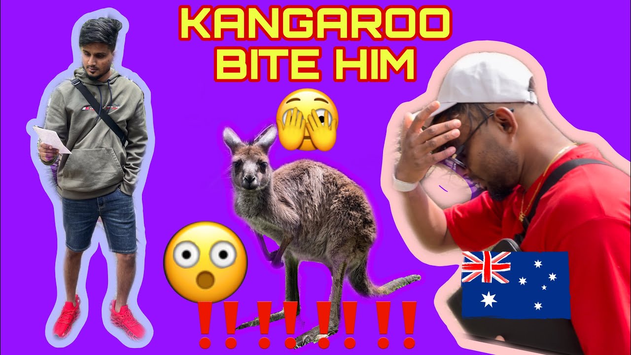KANGAROO BITE HIM ‼️‼️ | EPISODE 3 | Australia | Melbourne | 2022 - YouTube