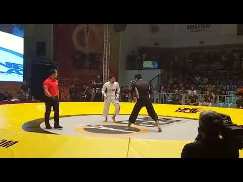 onesilat fight pro mma rules