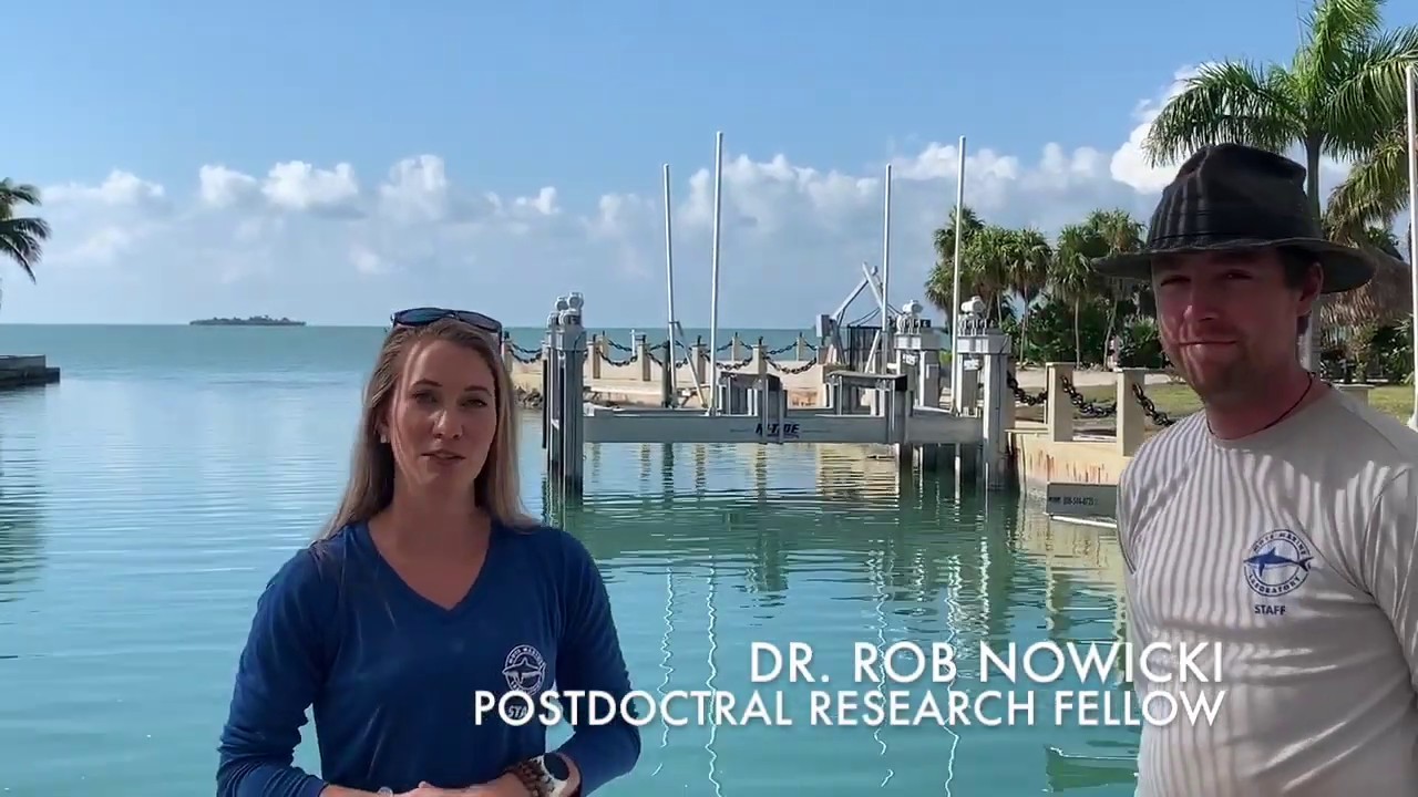 Q&A with Dr. Rob Nowicki - YouTube