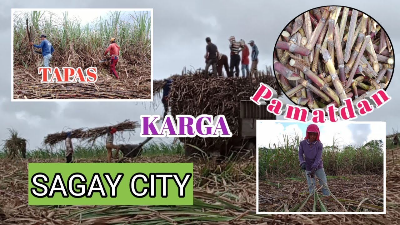 KARGA TAPAS AT PAMATDAN SA SAGAY CITY | LEB CHANNEL - YouTube