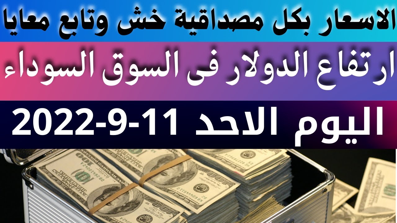 الدولار فى السوق السوداء اسعار العملات اليوم الاحد 11 9 2022 في مصر