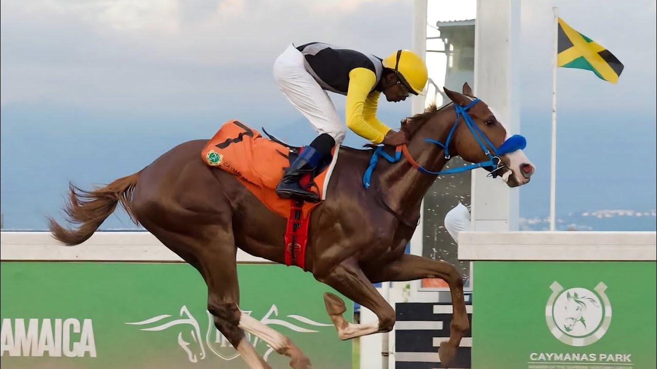 The Prince Concort Stakes goes to We Jammin and Omar Walker - YouTube