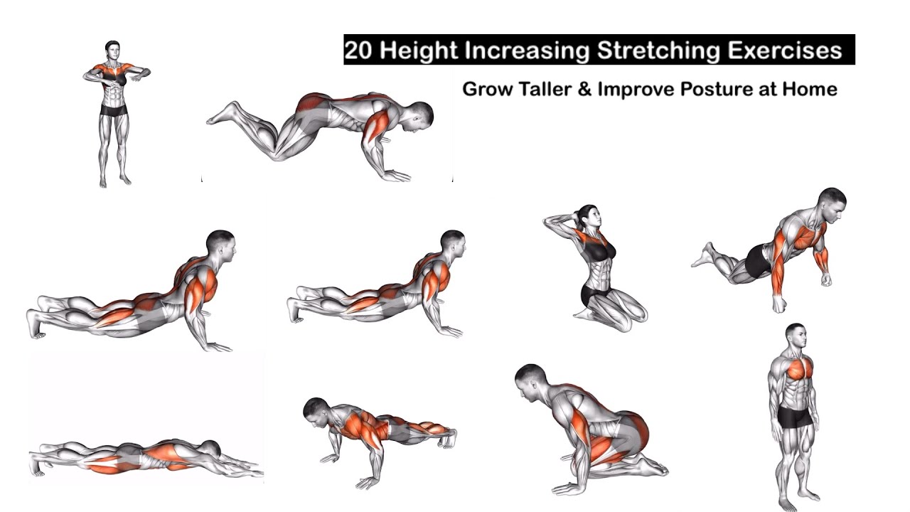 20 Height Increasing Stretching Exercises | Grow Taller & Improve ...