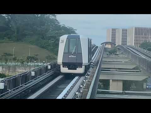 C810 Set [26] from Punggol to Sam Kee on the Punggol LRT [HD] - YouTube