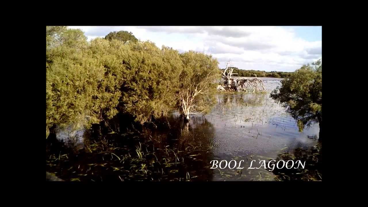 Sweet Waters: A visual interpretation of Bool Lagoon, South Australia ...
