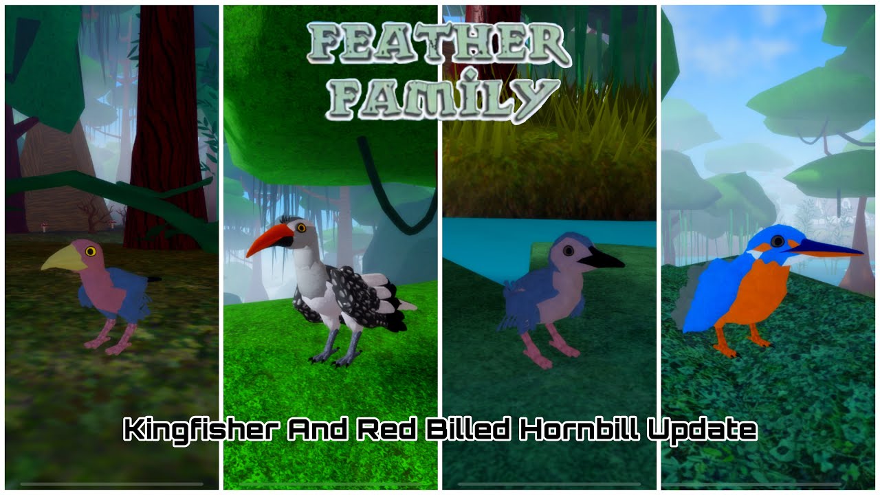 Feather Family Kingfisher And Hornbill Update - YouTube