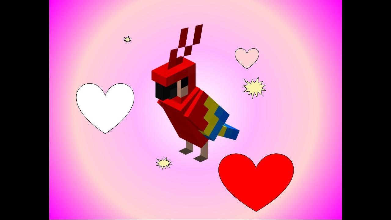 Wholesome Parrots Dancing Meme compilation - YouTube