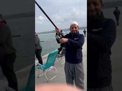 Beykoz Paşabahçe de Mehmet Köse ile kıraça . Bereket versin Rabbim