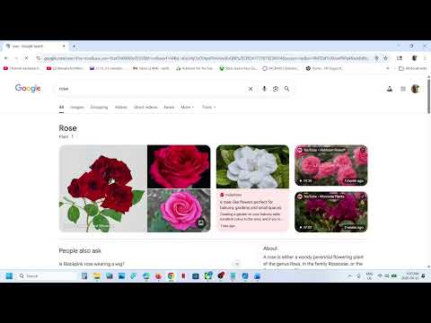 How To Use Google Lens In Chrome Browser On PC
