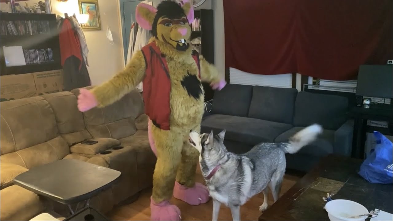 Be The Rats Friend - YouTube