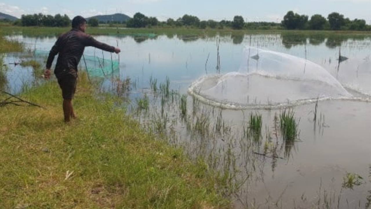 cast fishing net video | cast fishing net video at lake with my ...