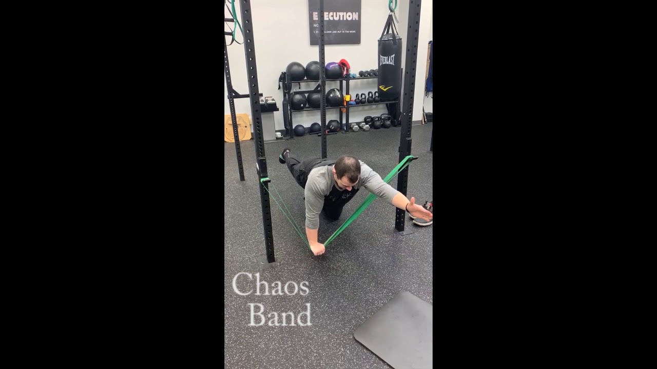 9 Bird Dog Variations - YouTube