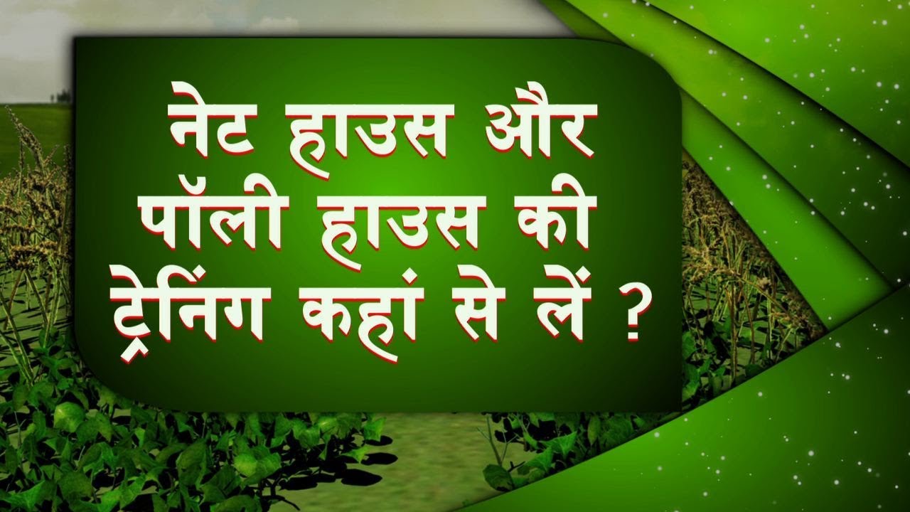 किसान कहा से प्राप्त करें NetHouse और PolyHouse की training | Mahesh ...