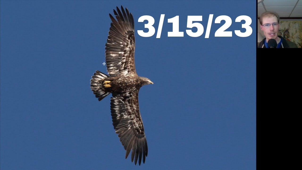 [15] Braddock Bay Hawk Watch Daily Summary, March 15th, 2023 - YouTube