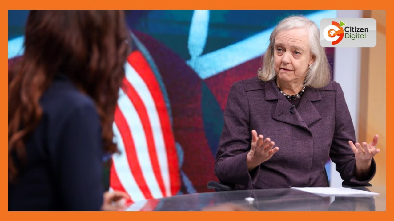 Meg Whitman on the cost of Ruto’s state visit to the US - YouTube