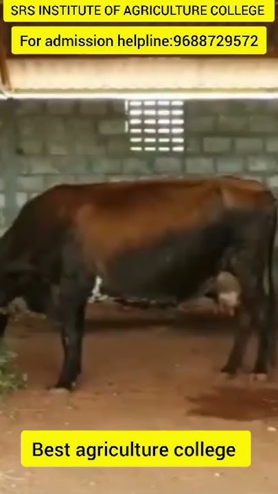 SRS Agriculture College - YouTube
