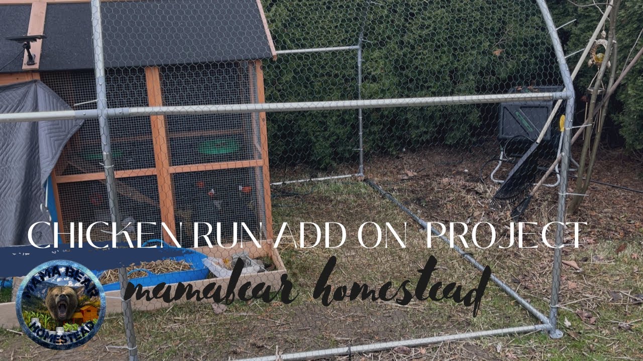 OUR LITTLE CHICKEN RUN ADD ON TOUR - YouTube