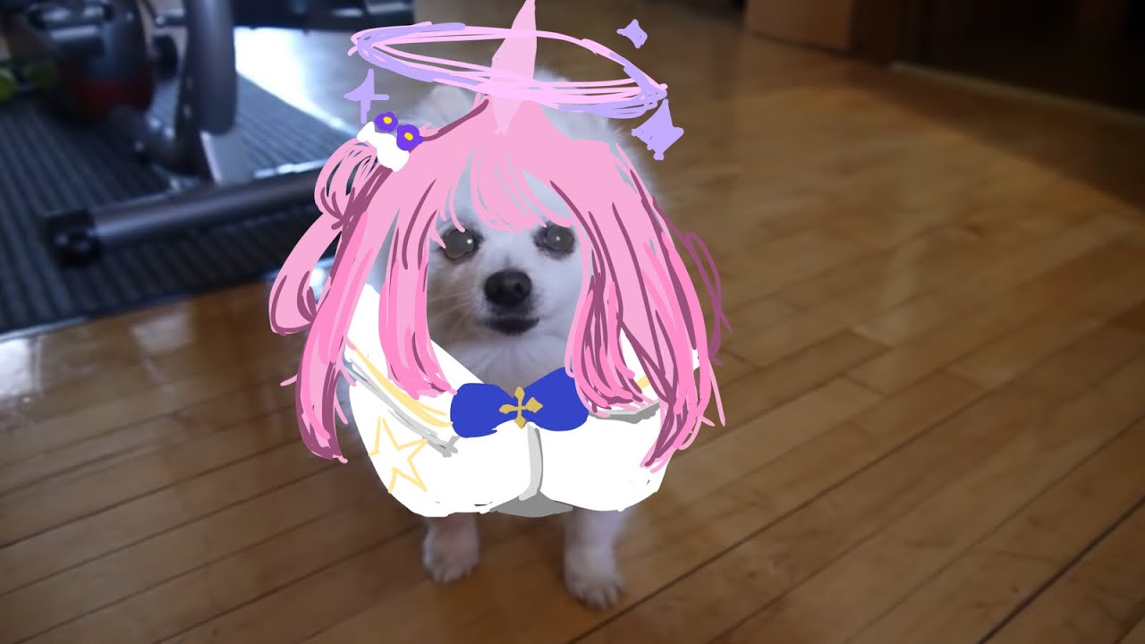 [블루 개카이브] Mitsukiyo-kyrie eleison/강아지 리믹스 - YouTube