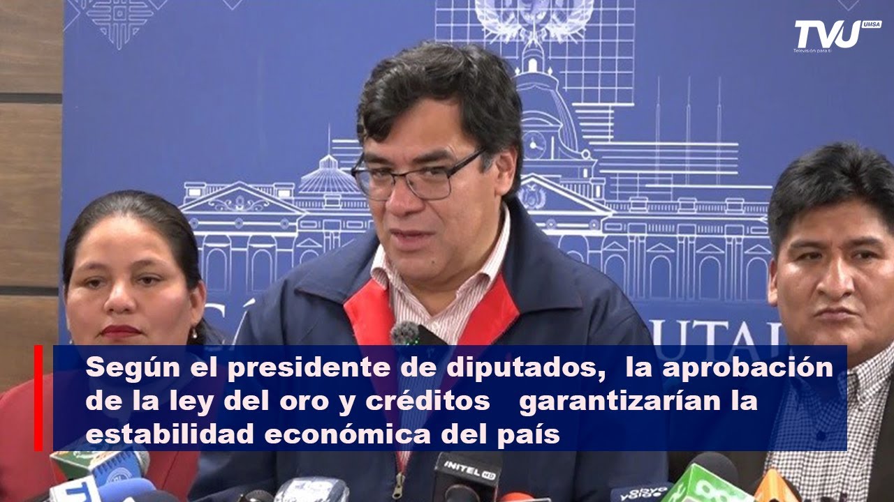 Según el presidente de diputados, la aprobación de la ley del oro y ...