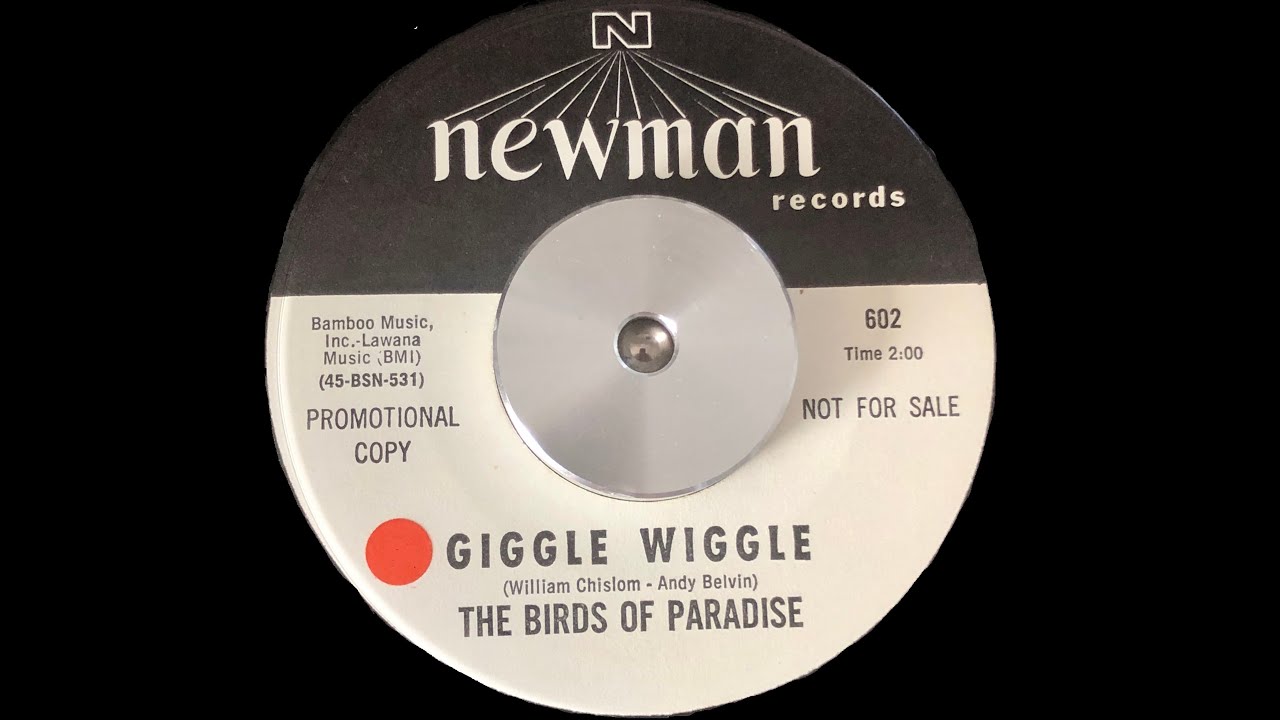 The Birds Of Paradise - Giggle Wiggle (Newman 602 Promo) - YouTube