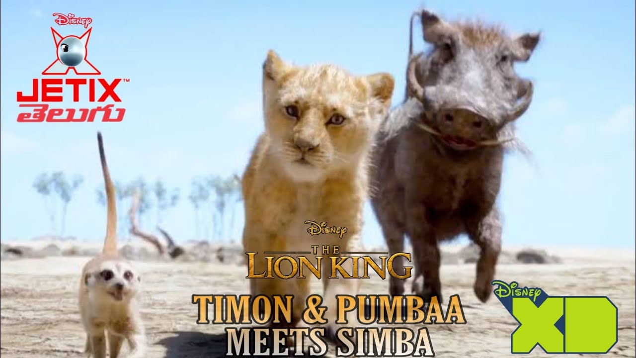 Timon&Pumbaa Meets Simba 1994 Jetix Telugu Cartoon Voice From The Lion ...
