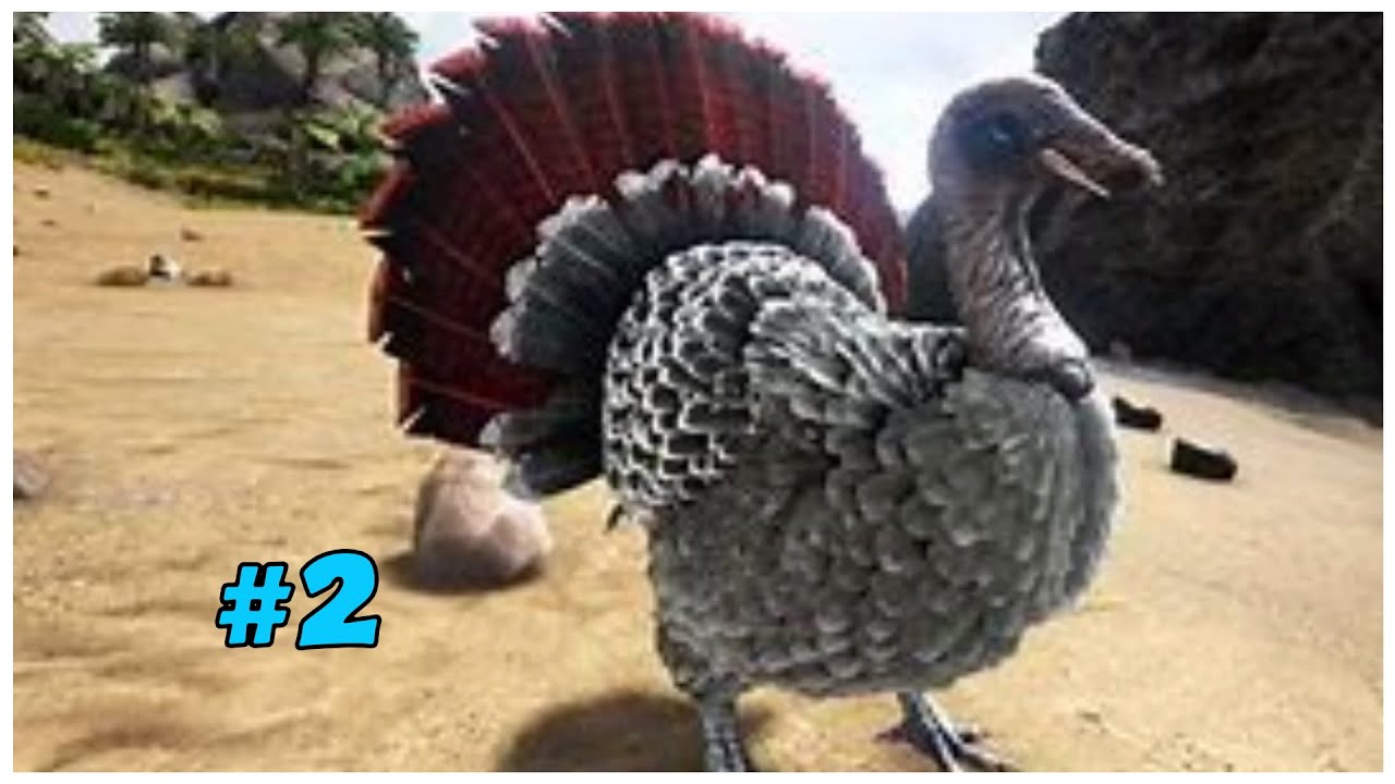 ARK. J'AFFRONTE LA SUPER TURKEY. #2 - YouTube