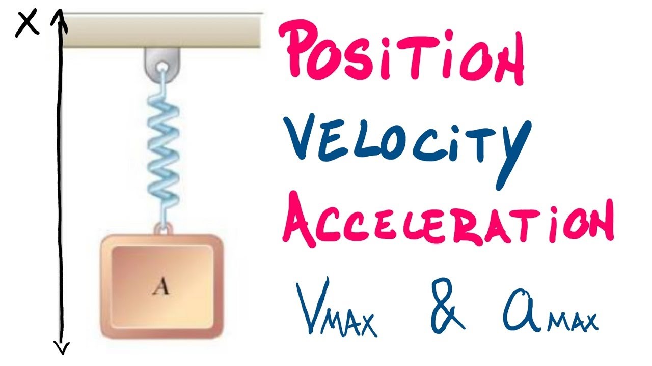 Block tied to a spring | Position, Velocity and Acceleration - YouTube