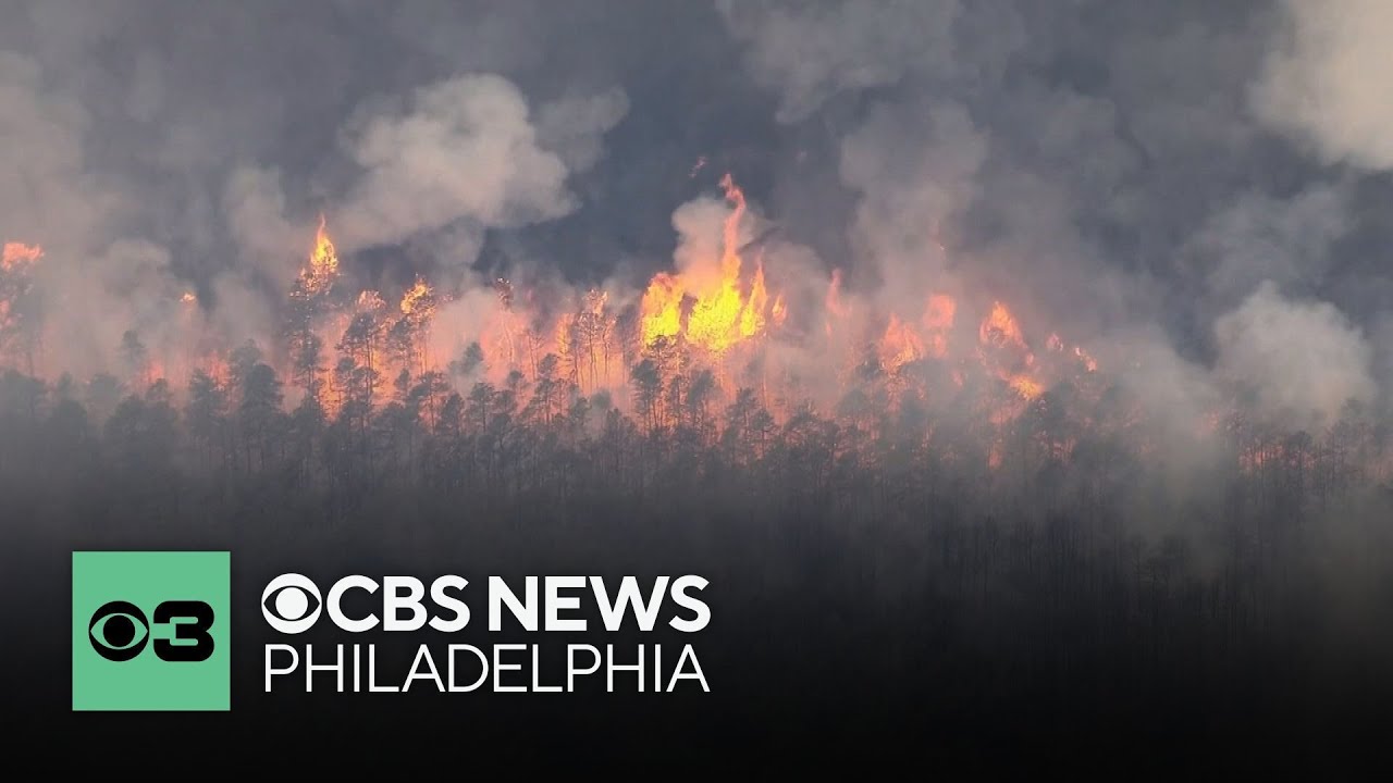 Jones Road Wildfire could be largest in New Jersey history, fire ...