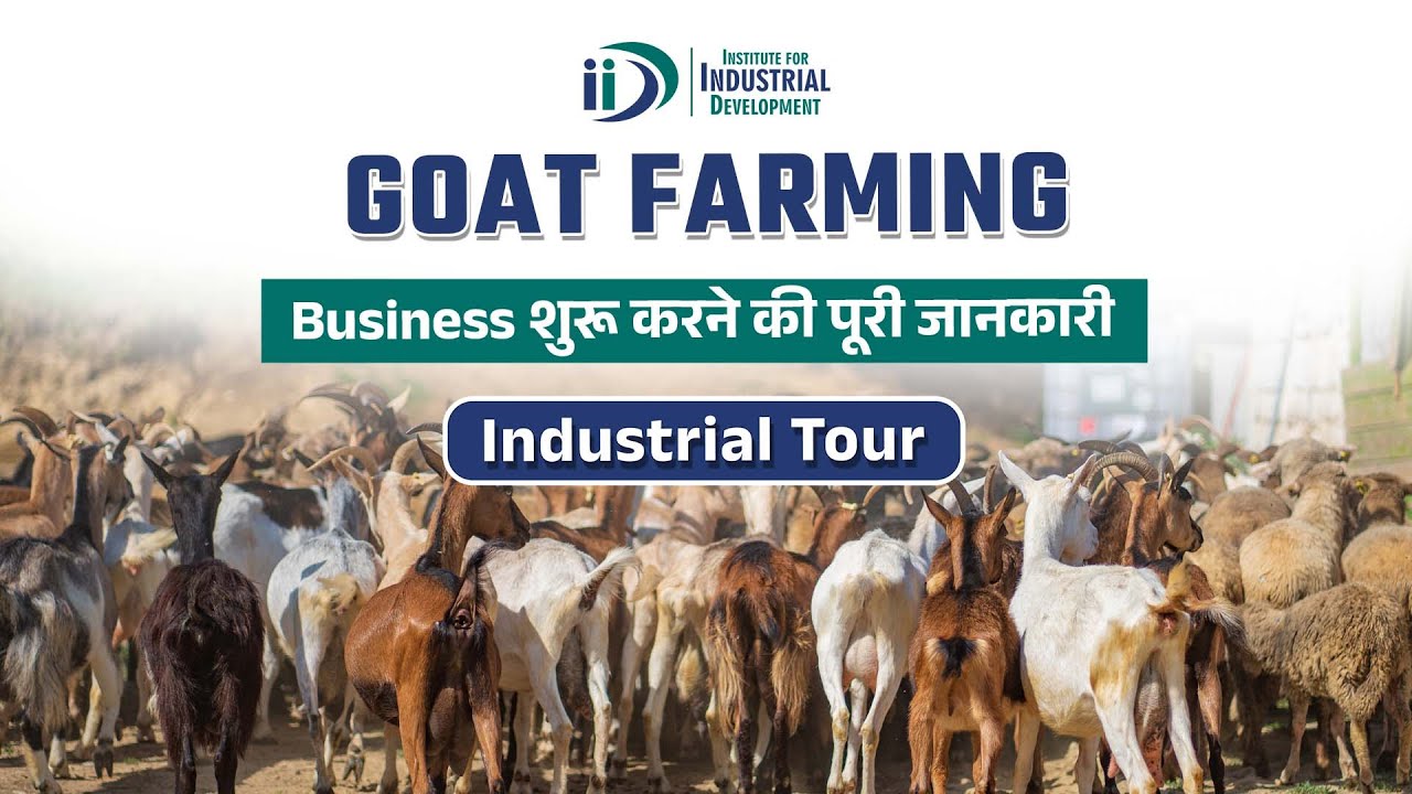 How to Start Goat Farming Business | Industrial Tour - YouTube