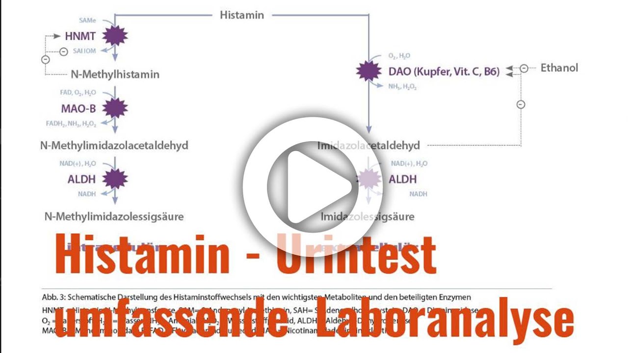 Histamin-Urintest - Labortest zur Bestimmung von Histamin und ...