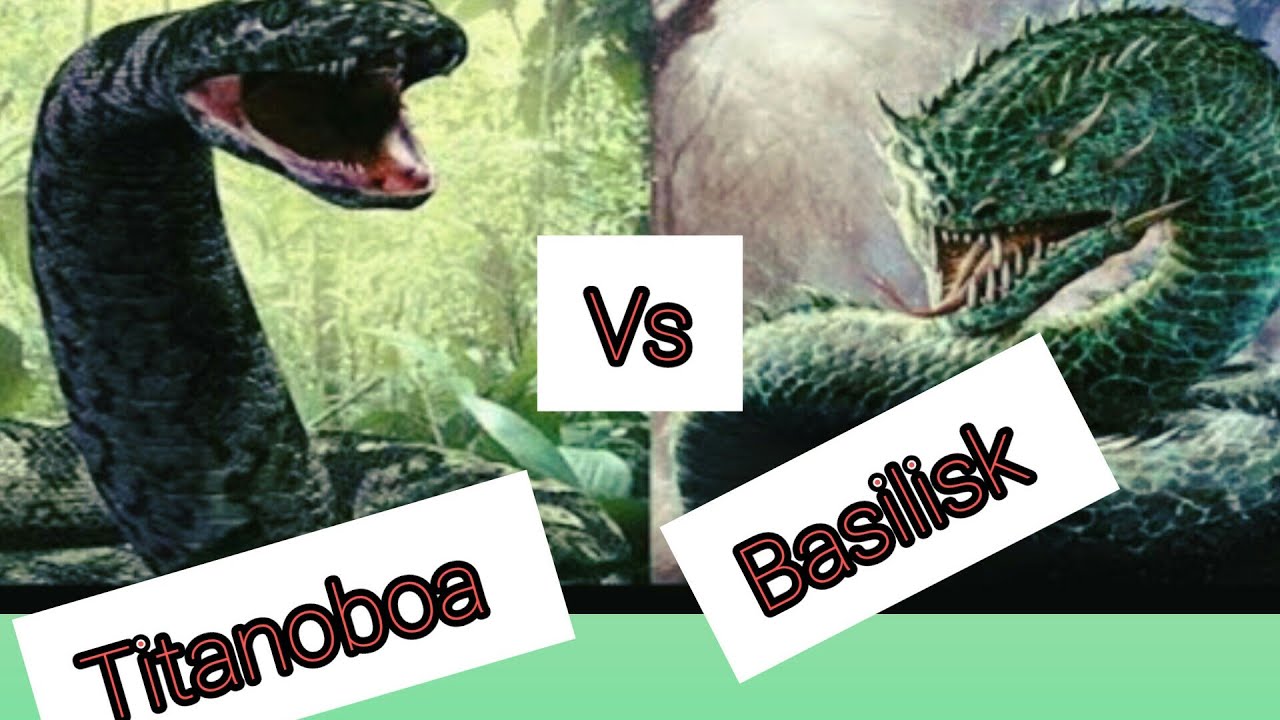 Titanoboa vs Basilisk 🐉🐍 - YouTube