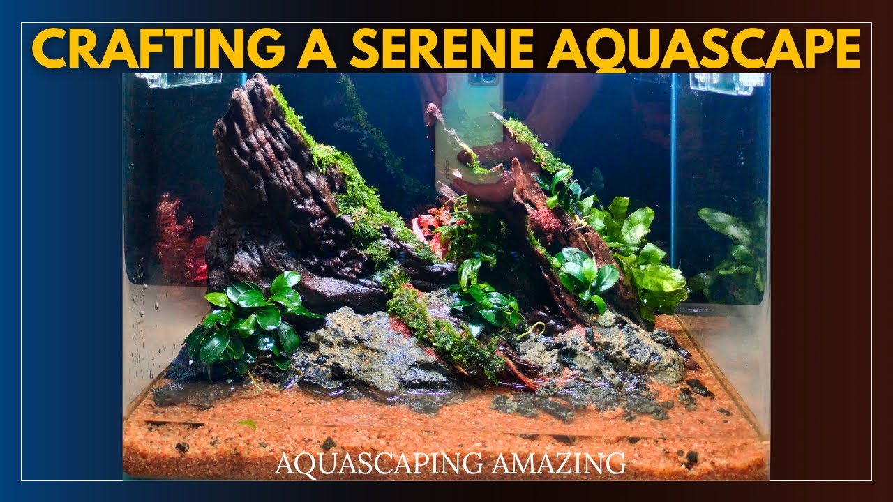 The Natural Triangle: Crafting a Serene Aquascape (Aquascape Tutorial ...