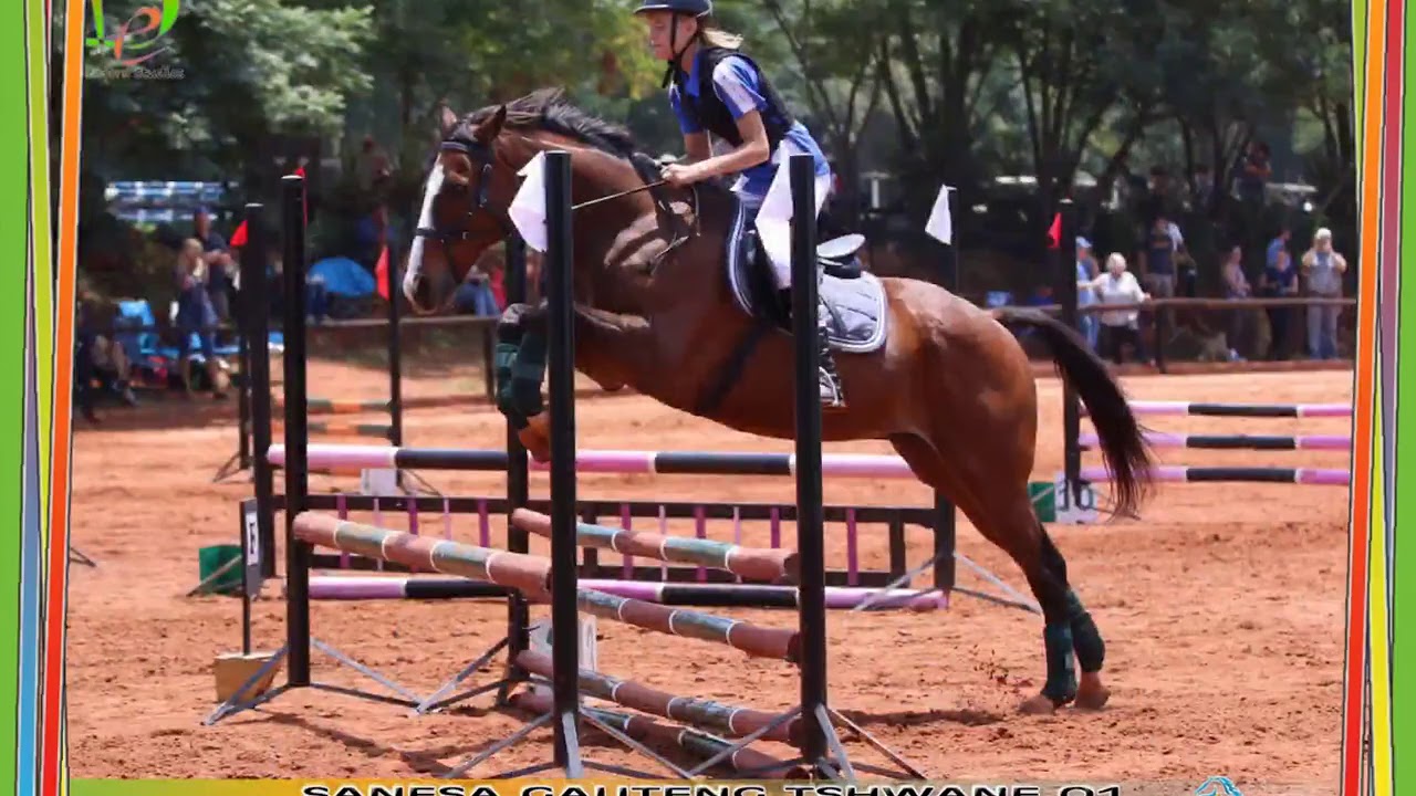 sanesa Tshwane Q1 - YouTube