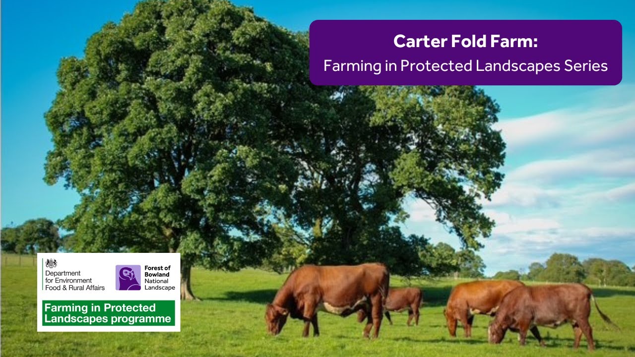 Carter Fold Farm - Farming in Protected Landscapes Film Series - YouTube