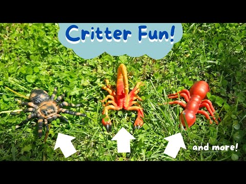 Critter Fun! - YouTube