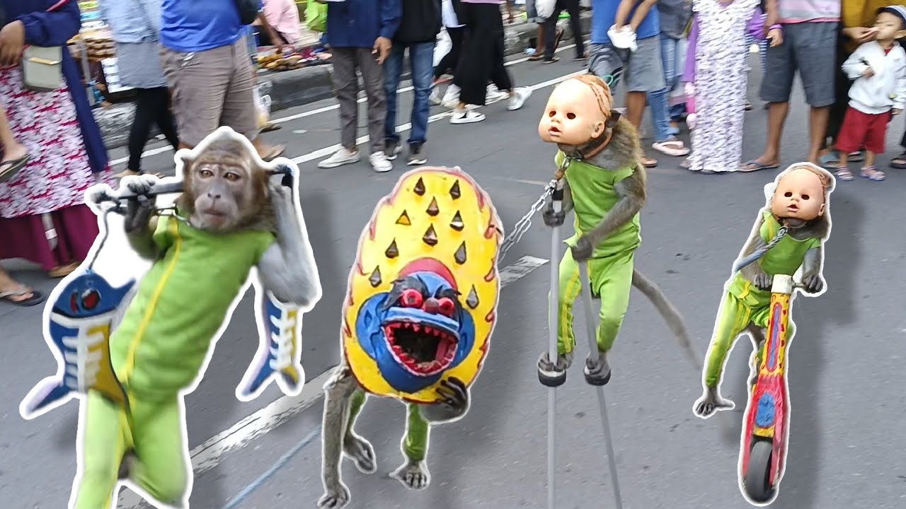 TOPENG MONYET LUCU, FUNNY MONKEY SHOW PART 36 - YouTube