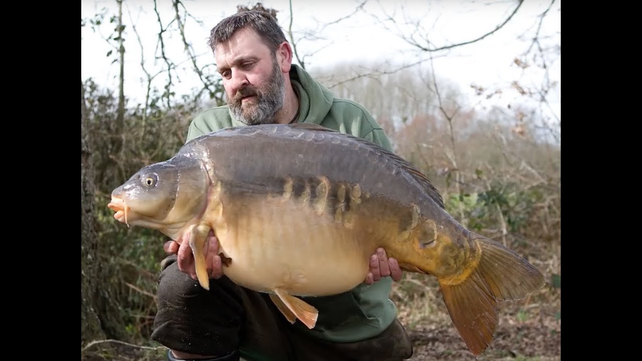 Big Carp France - Old Oaks Winter 2016 - YouTube