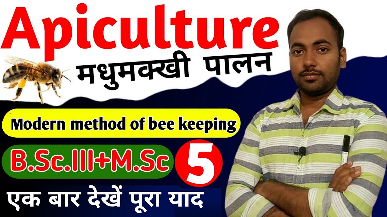 Modern Method of bee keeping/indigenous method of bee keeping/मधुमक्खी ...