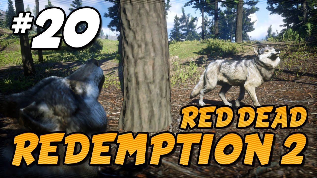 Red Dead Redemption 2 #20 - FOTOGRAFANDO LOBOS NAS MONTANHAS - YouTube