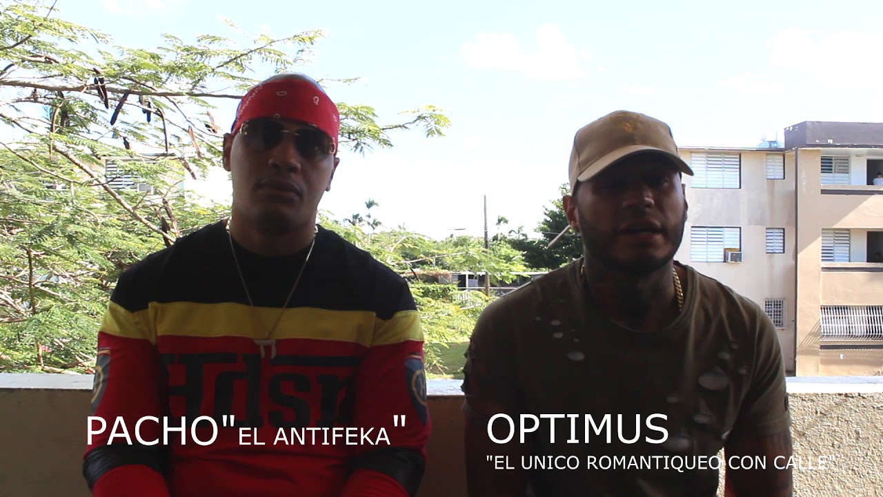 Cara a Cara entrevista Pacho Presenta Optimus en Alqaedas inc. - YouTube