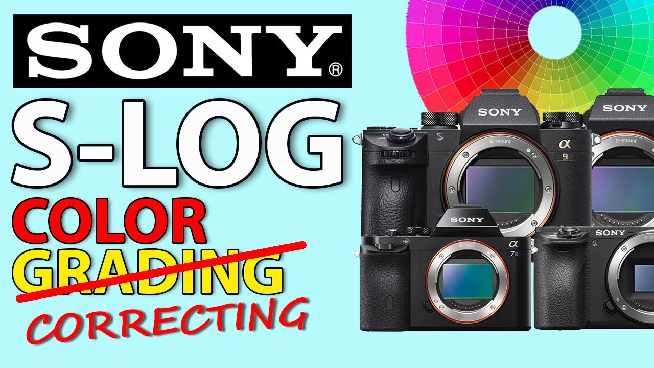 Sony Alpha S-LOG Colour Correcting Tutorial | Sony A7iii 6400 6600 ...
