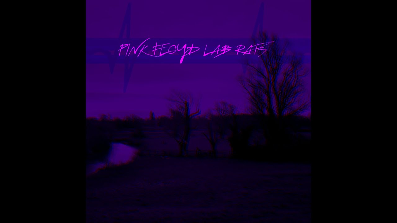 Pink Floyd - Lab Rats (Full Album) - YouTube