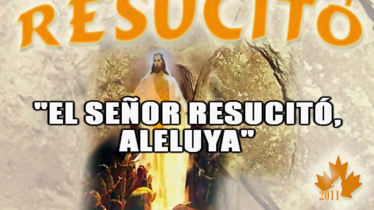EL SEÑOR RESUCITO ALELUYA - YouTube
