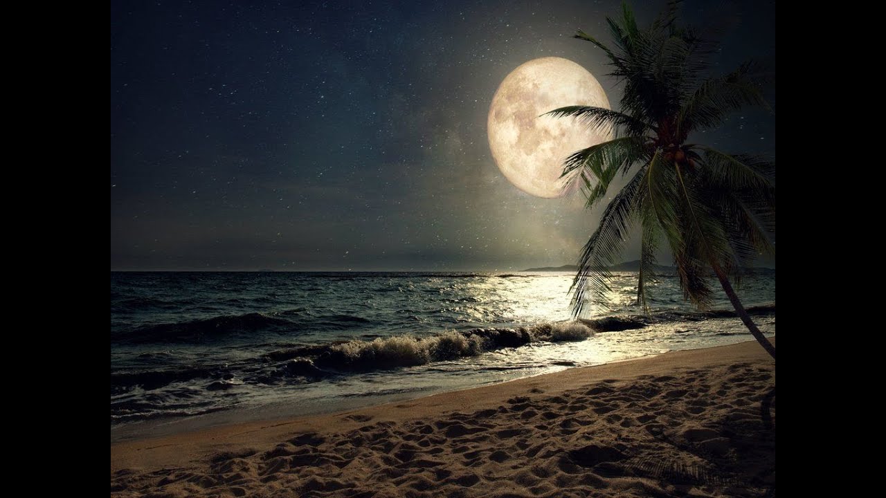 Noches que te las dedico enteras - Ricardo Visedo Quiroga - YouTube