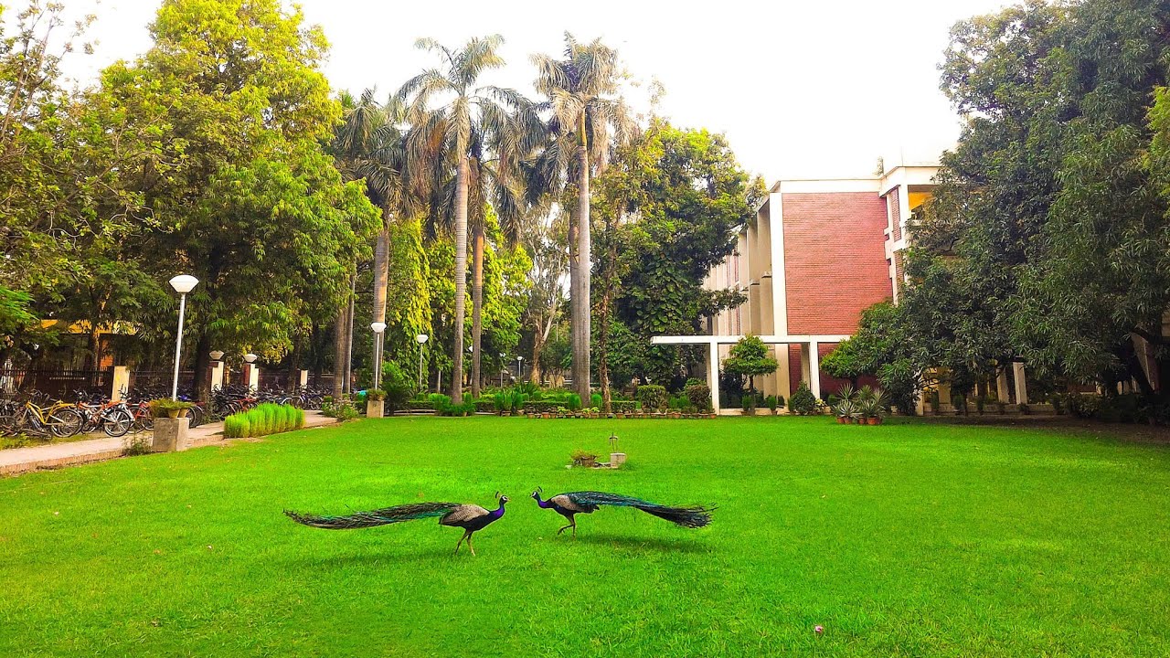 #hall2part2iitkanpur Hall 2 second part iit Kanpur tour and view ...